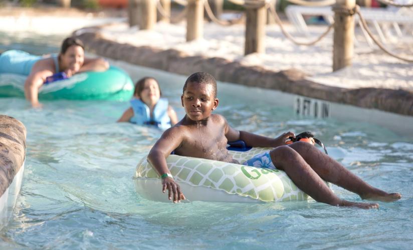 Audubon Zoo's Cool Zoo and Gator Run opens on May 6 | Entertainment ...