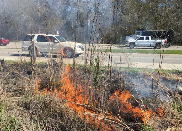 Fire burns Mandeville public garden - for good reason | Traffic | nola.com