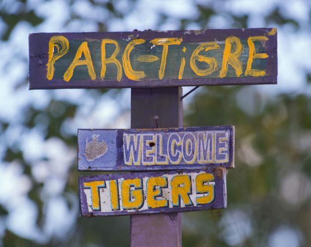 Mike the Tiger lives on in memory, memorabilia in Leslie Tassin's ...