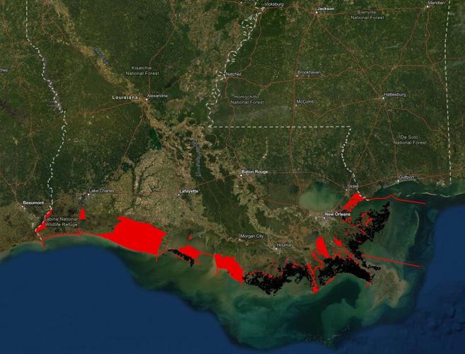 Three men caught harvesting polluted oysters in Lafourche Parish ...