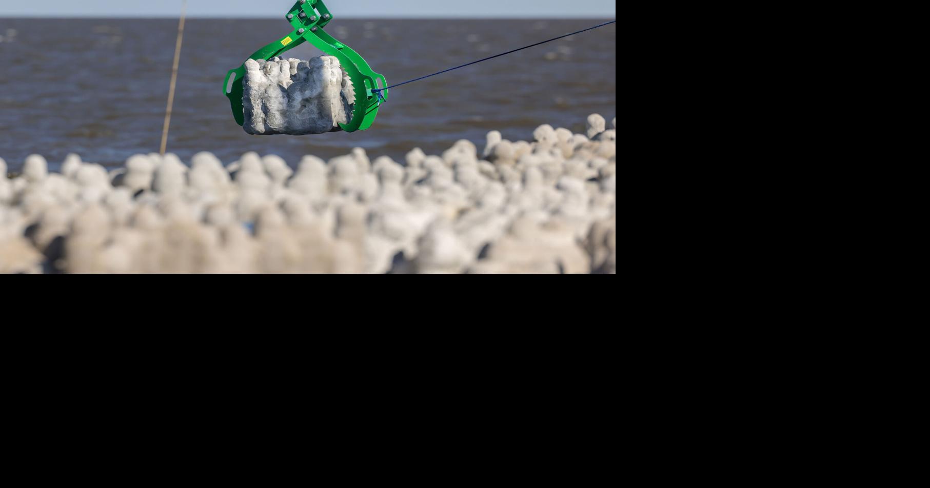 'Cajun coral' project aims to boost Louisiana fish habitat ...