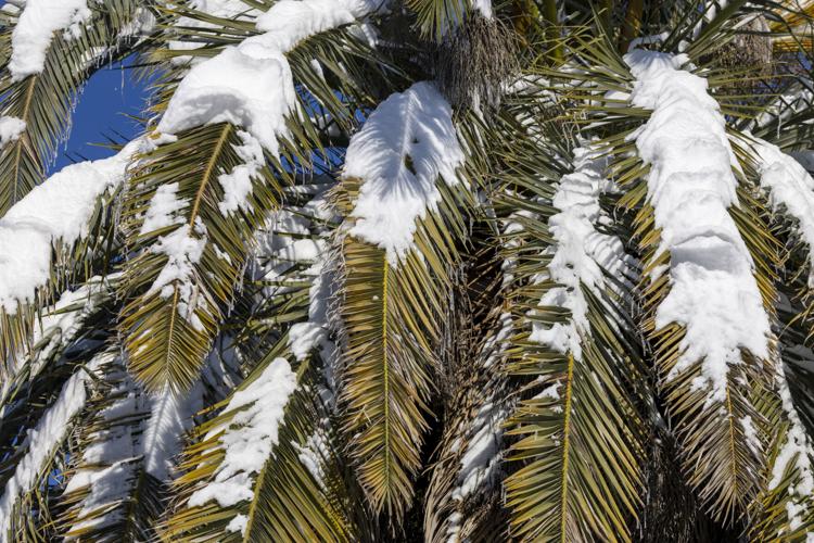 How cold did Louisiana get during winter snowstorm? | Weather | nola.com