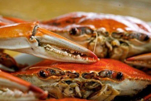 Crab ban lifted March 22: 5 recipes to make the most of your haul ...