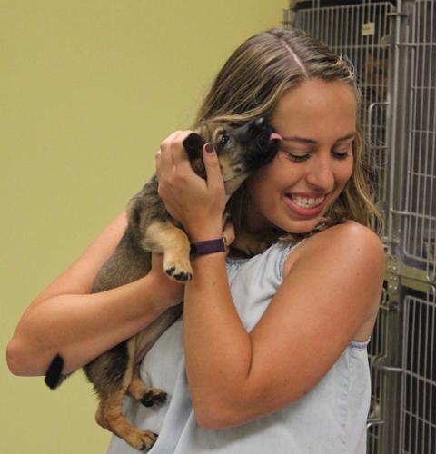 Zeus' Rescues gets permanent home in New Orleans | Archive | nola.com