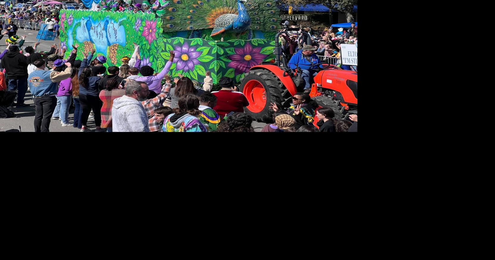 Krewe Of Argus Rider Falls Off Double Decker Parade Float Mardi Gras