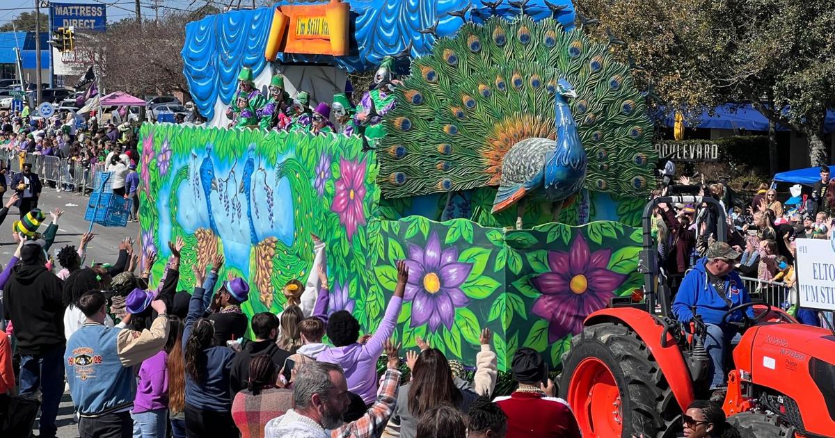 Krewe Of Argus Rider Falls Off Double Decker Parade Float Mardi Gras