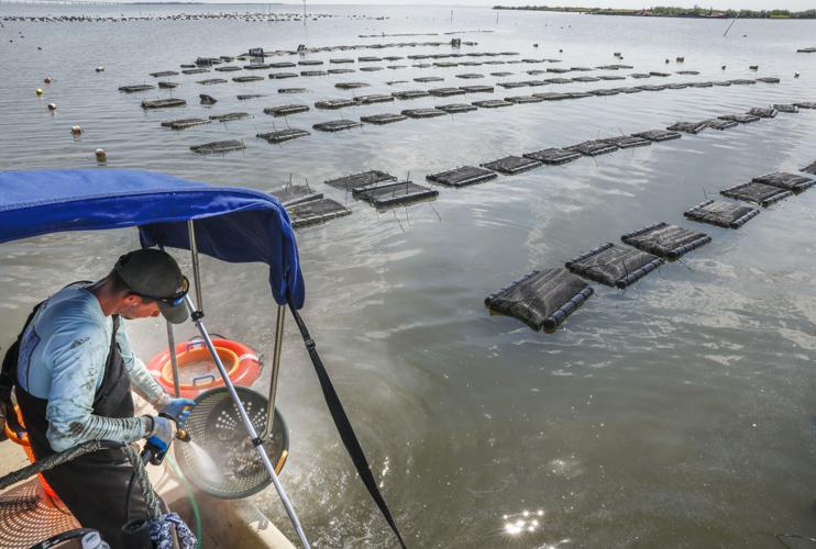 Off-bottom oyster farmers off Grand Isle Louisiana | Jefferson Parish ...