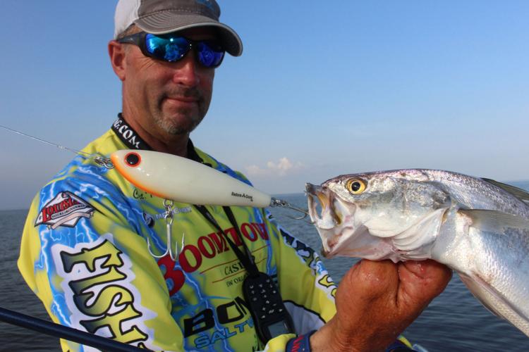 Reef named for Theophile Bourgeois, killed in plane crash | Jefferson ...