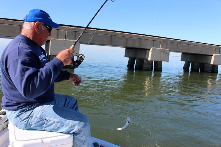 Speckled trout get locked into easy-to-reach Lake Pontchartrain canals ...
