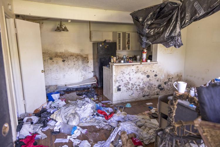 Bankruptcy judge slams landlord Joshua Bruno, wrests control of six ...