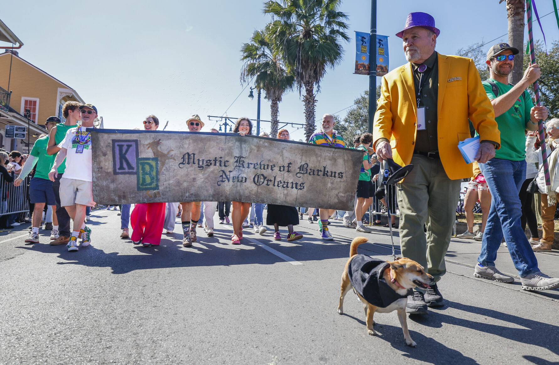 Photos: Mystic Krewe of Barkus parades in the French Quarter ...