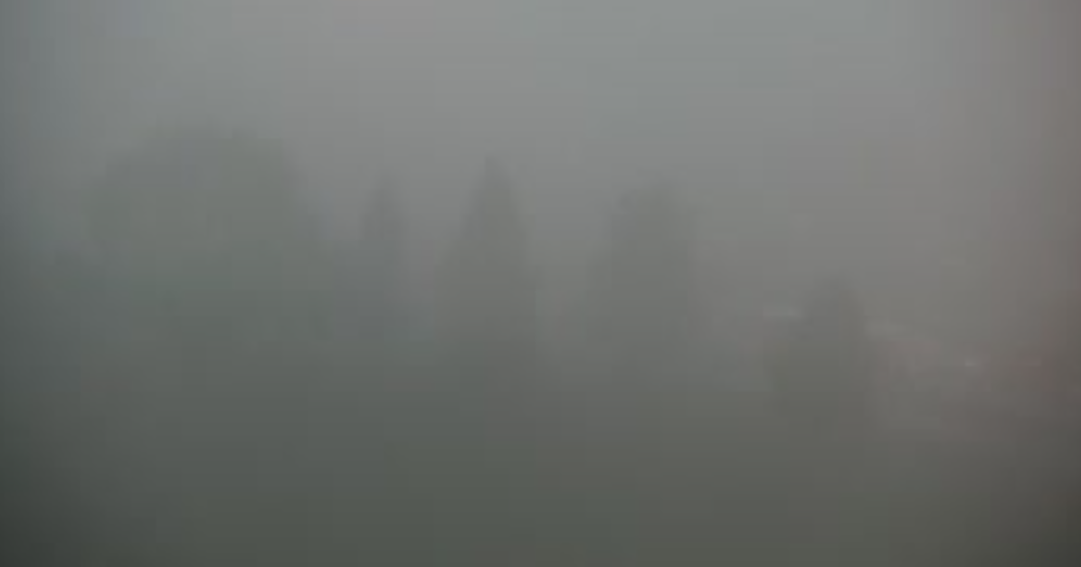 Causeway closed and visibility low due to fog and smoke | Traffic ...