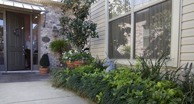 Get free trees at NOLA Tree Project giveaway: 12 gardening events not ...