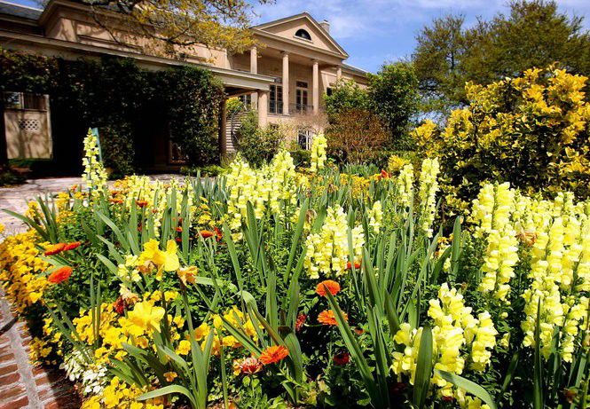 Free tours give detailed history of New Orleans' cultural landscapes ...