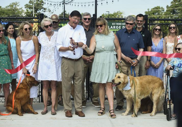 Lafayette native's family foundation supports local causes ...