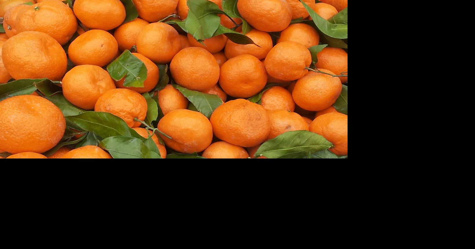 Digging In: Certified, bona fide: Inspections aim to preserve healthy ...