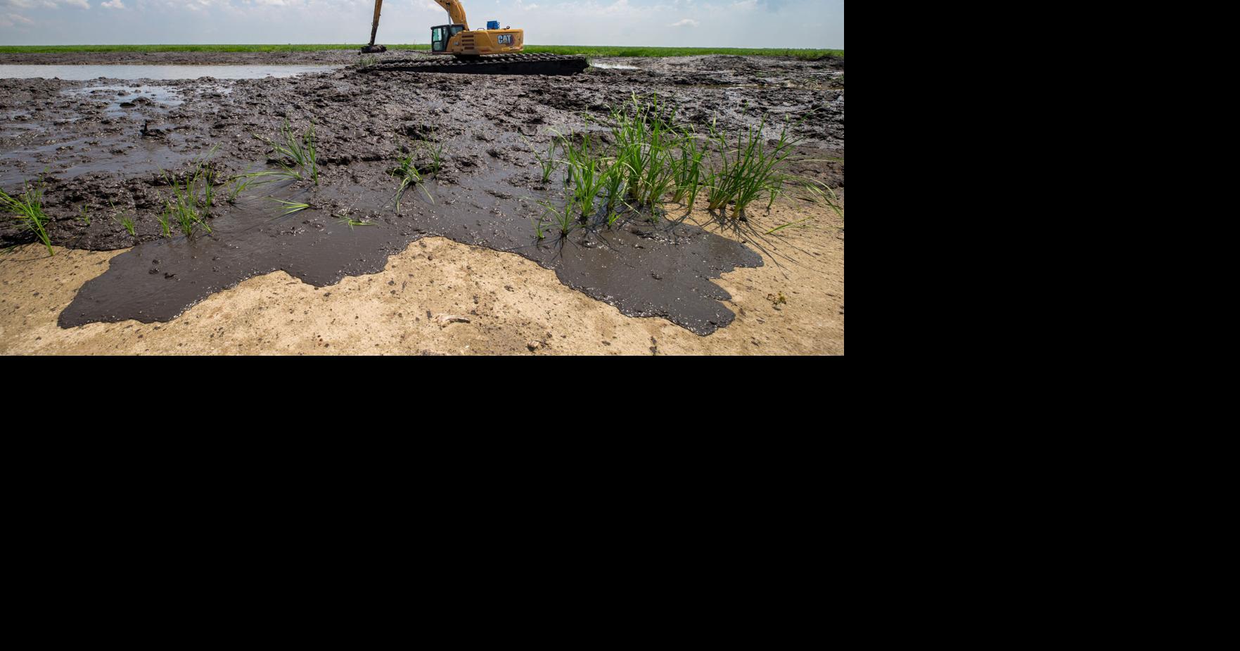 Louisiana coastal authority sets out $1.7 billion plan | Environment ...