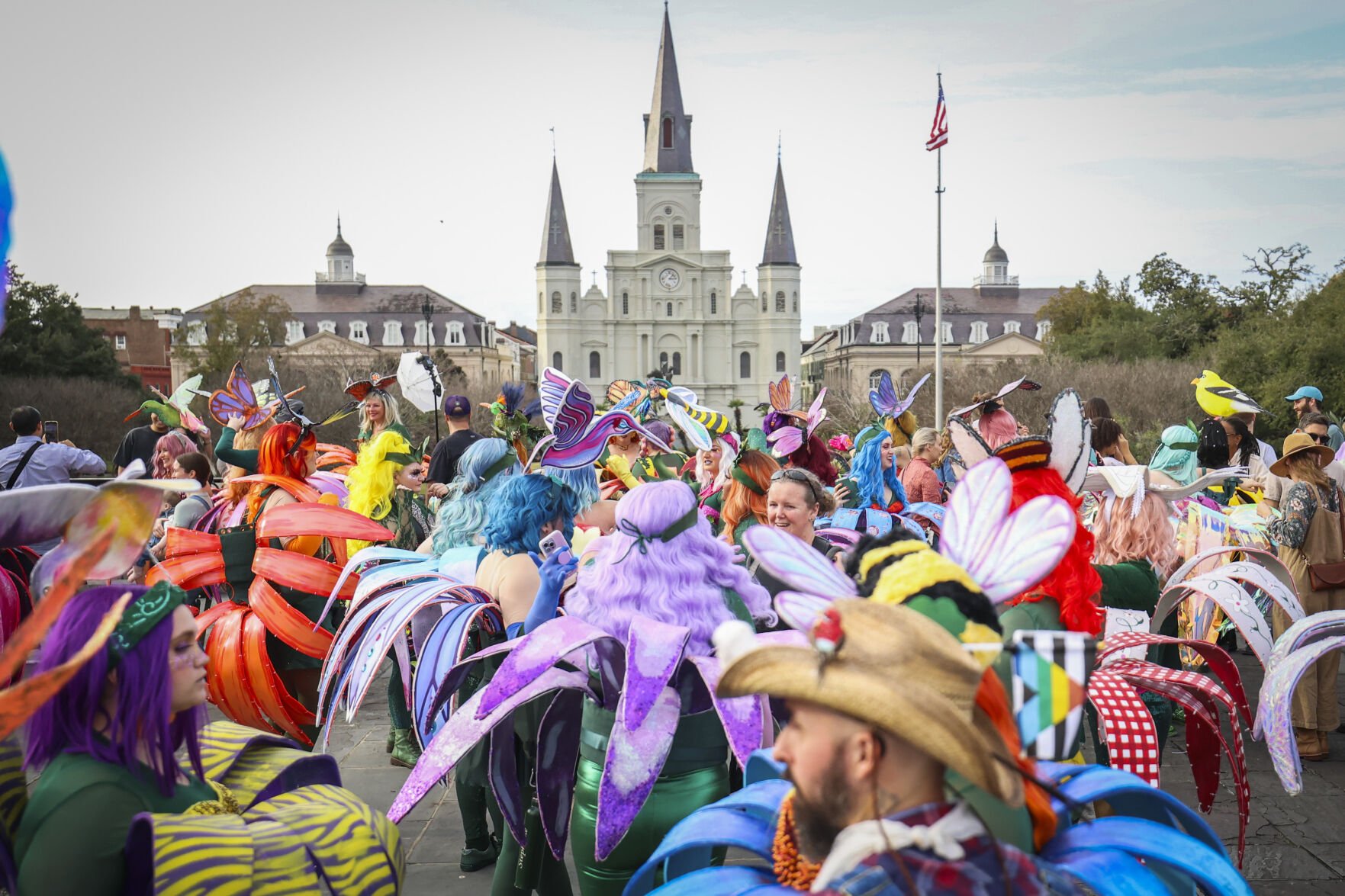 Photos: Krewe des Fleurs reveal their 2026 flower costumes | Photos ...