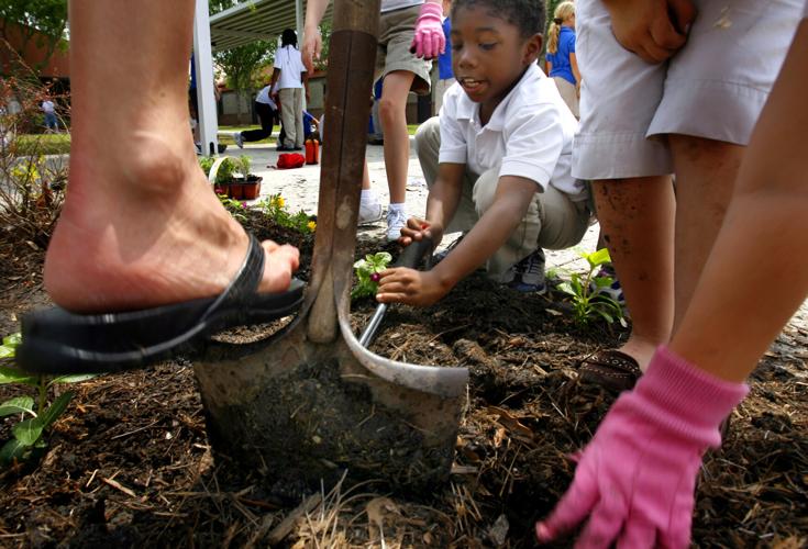 Reimagine your landscape by planting trees and shrubs | Home/Garden ...