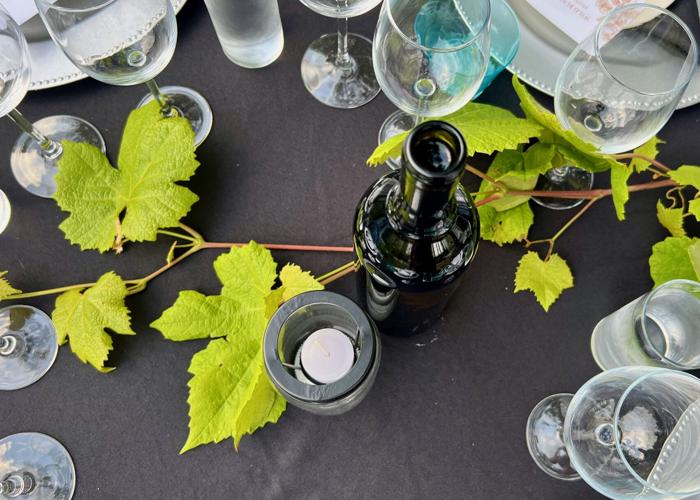 Wild Bush vineyard out to change what Louisiana wine can be | Where ...