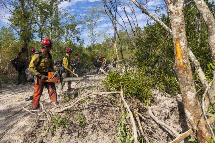 Please don't barbecue for Labor Day while Louisiana battles wildfires ...