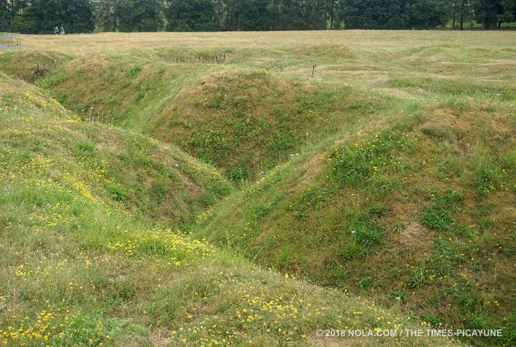 On This Spot: The Danger Tree at the WWI Battle of the Somme ...