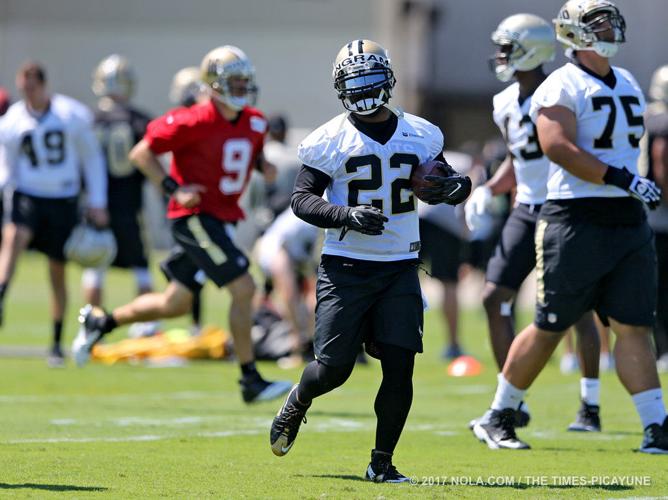 Saints' Adrian Peterson, Dannell Ellerbe not on field for final day of ...