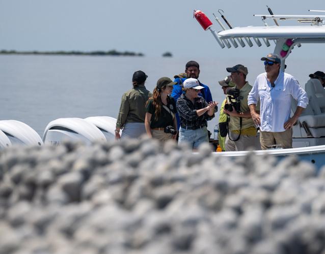'Cajun coral' builds an artificial reef off Louisiana coast ...