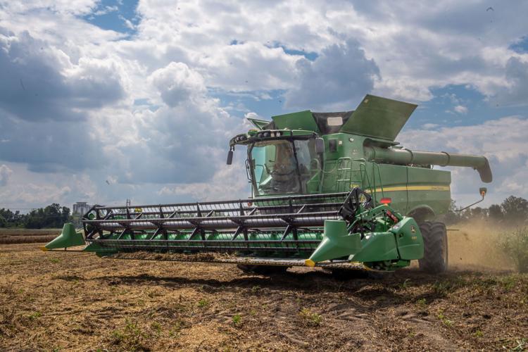 Louisiana farmers see $12 billion relief as a lifeline | National ...