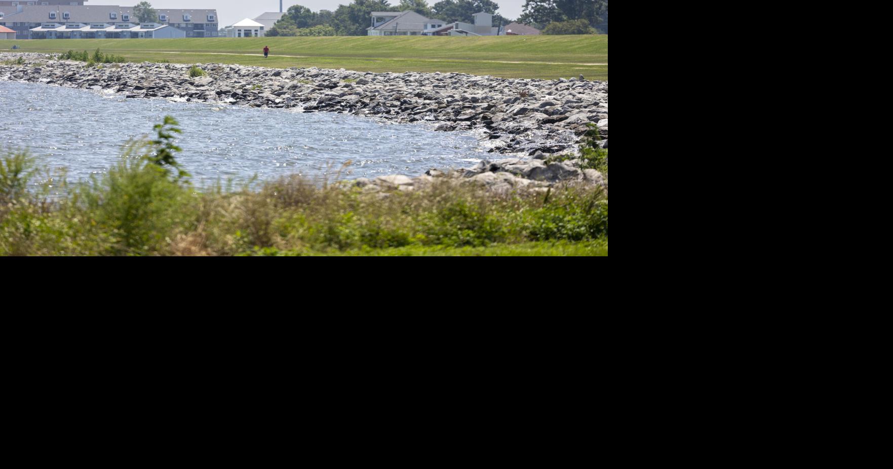 Bucktown living shoreline expected to break ground in July | Jefferson ...