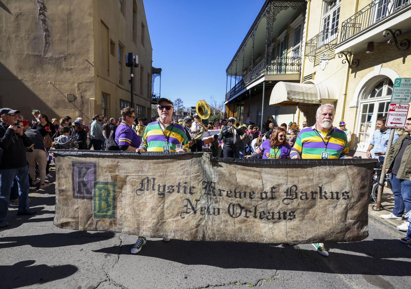 30th Annual Mystic Krewe of Barkus parades | Entertainment/Life | nola.com