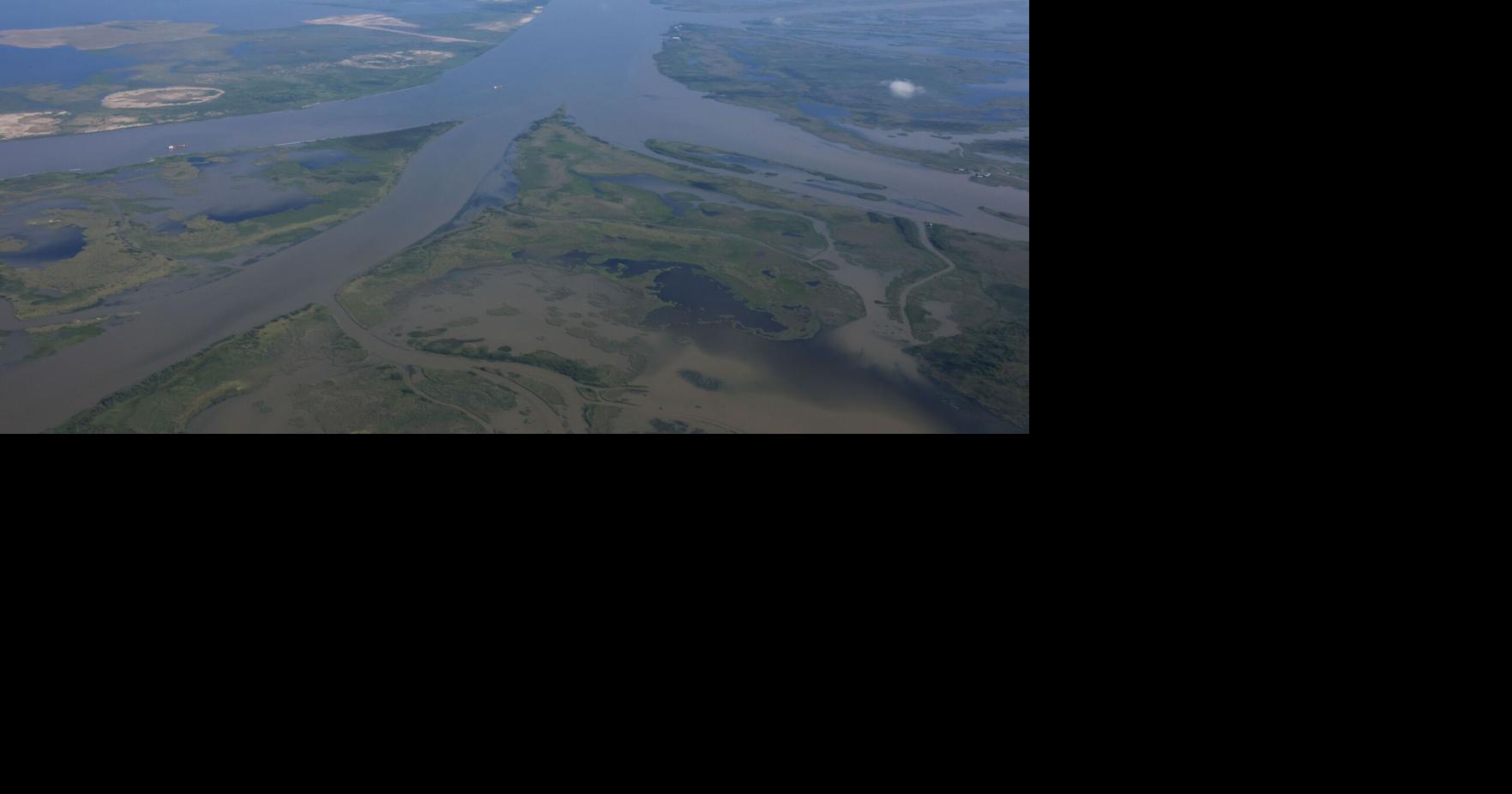 bird foot delta example