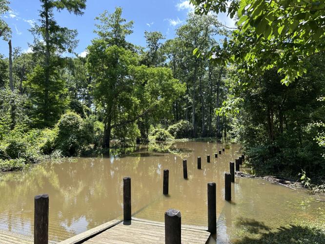 Travel to Louisiana's Tickfaw State Park for these events ...