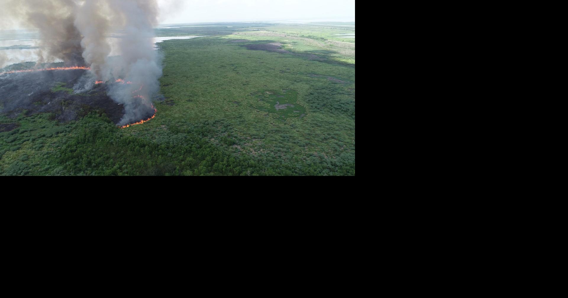 Hundreds of wildfires across Louisiana burn homes, forests ...