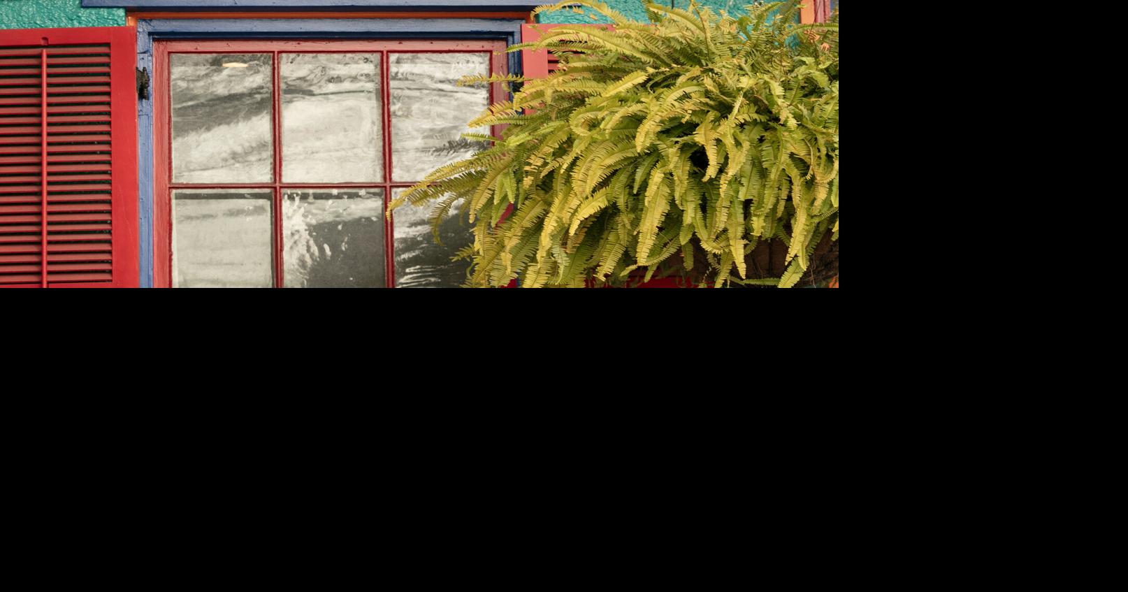 NO.indetail.io.dentils | | nola.com