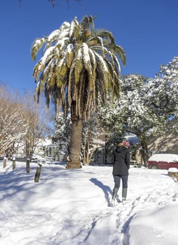 How cold did Louisiana get during winter snowstorm? | Weather | nola.com