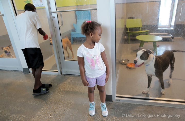 LA/SPCA partners with NOPD for special pet adoption event | Archive ...