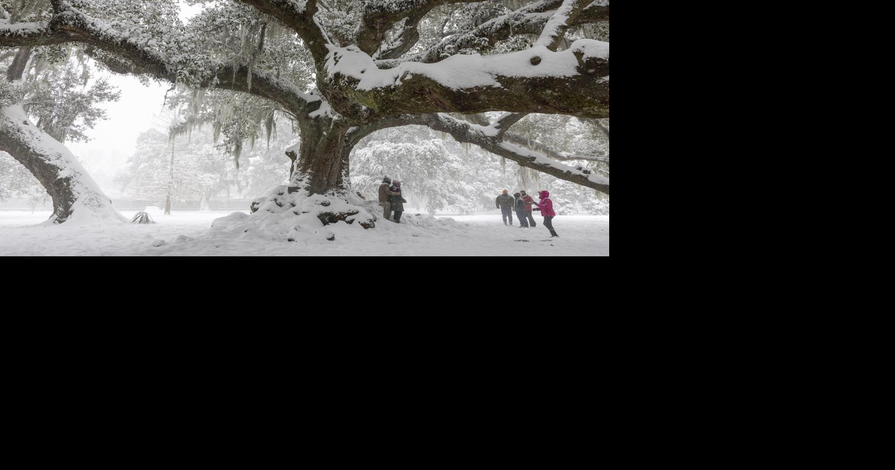 Photos: Rare New Orleans snow day means sliding, snowballs and selfies ...