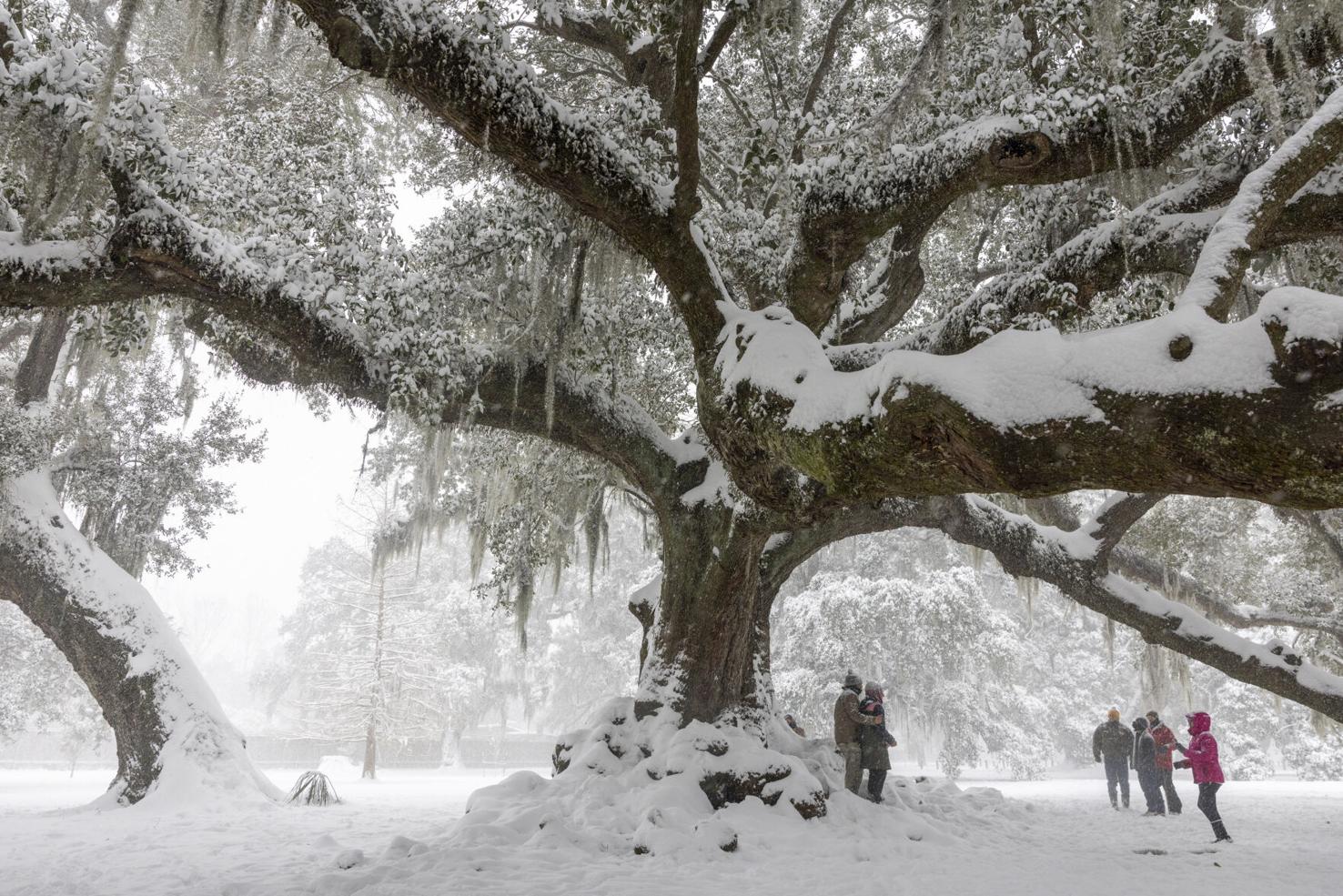 Photos: Rare New Orleans snow day means sliding, snowballs and selfies ...