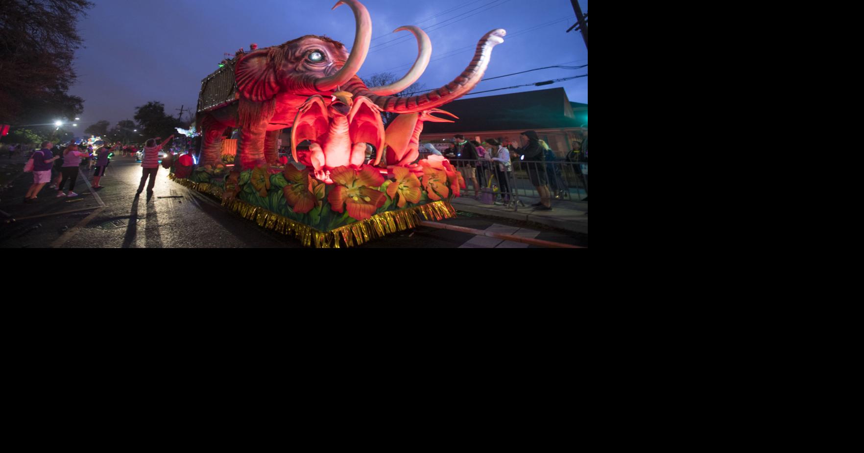 Photos: Sparta and Pygmalion parades roll Uptown to thrilled crowds ...