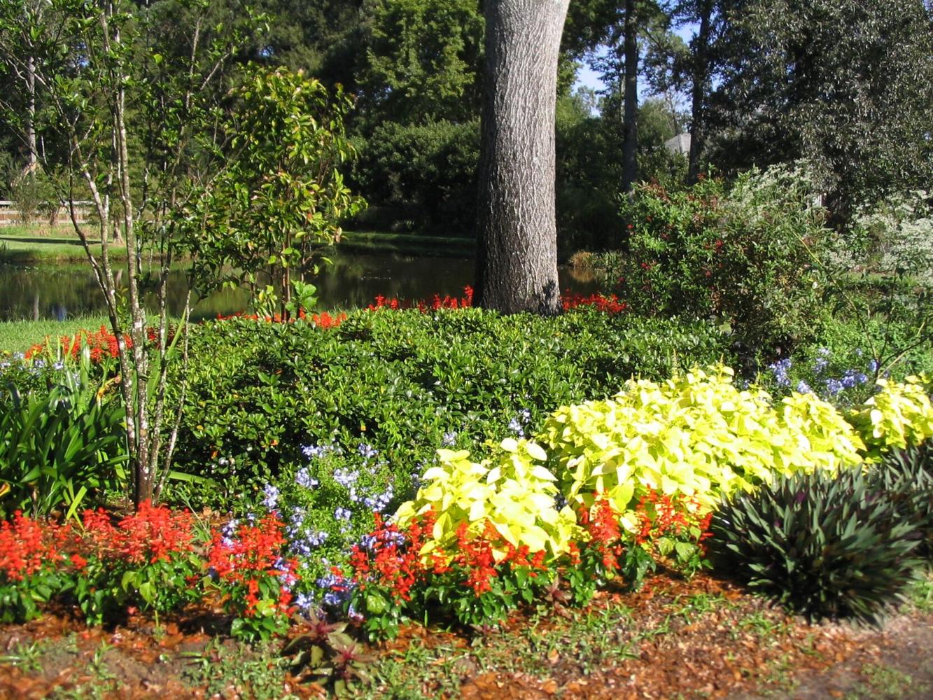 Get summer flowers off to good start with Dan Gill's advice | Home ...