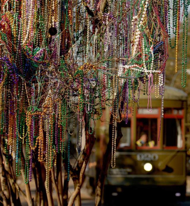Tulane must remove campus' beloved 'Bead Tree,' but tradition won't end ...