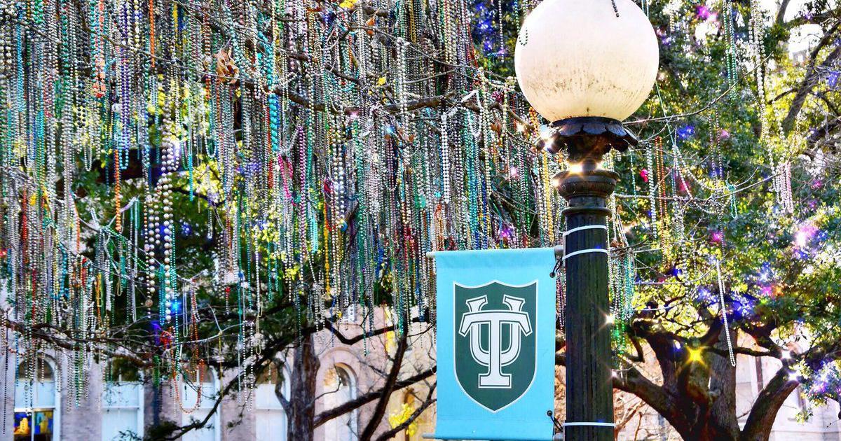 Tulane must remove campus' beloved 'Bead Tree,' but tradition won't end ...