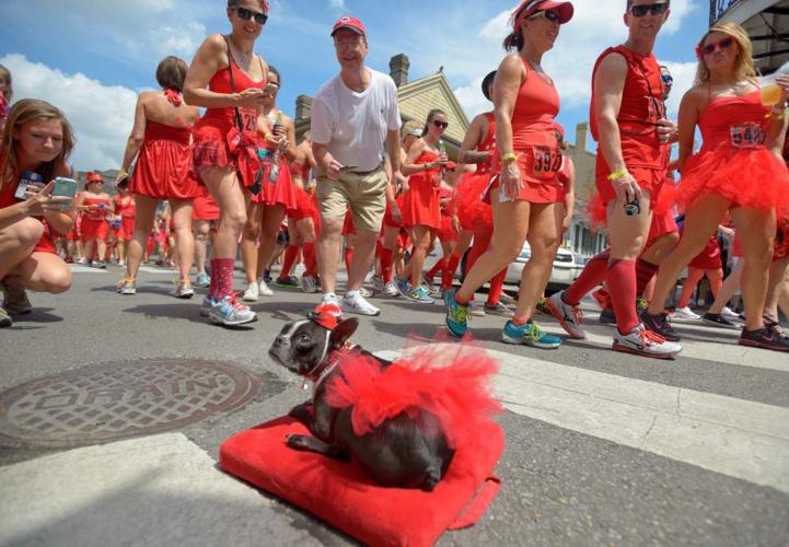 On your marks, get set, GO find a red dress and sign up for the annual ...