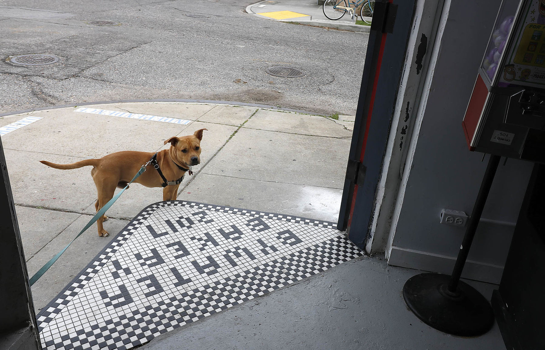 Bywater Bakery now open and serving breakfast and lunch | Where NOLA ...