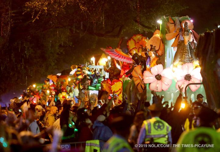 The Knights of Babylon parade Thursday evening: See the photos ...