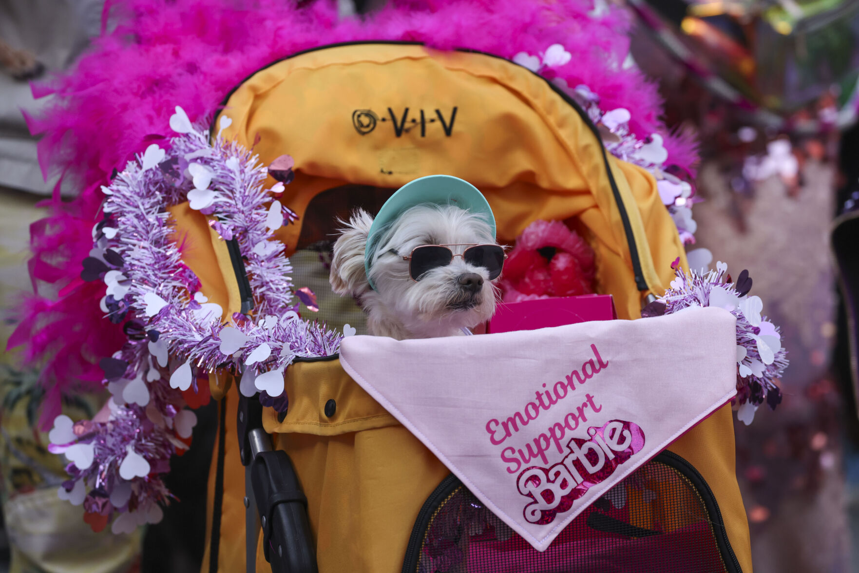 Krewe of Barkus parade postponed two weeks | News | nola.com