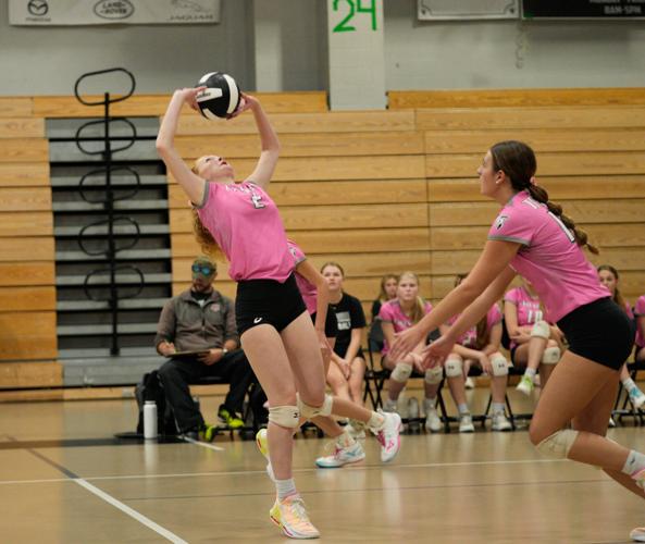 SSA rallies to defeat Lakeshore in 4 sets, claim district title | St ...