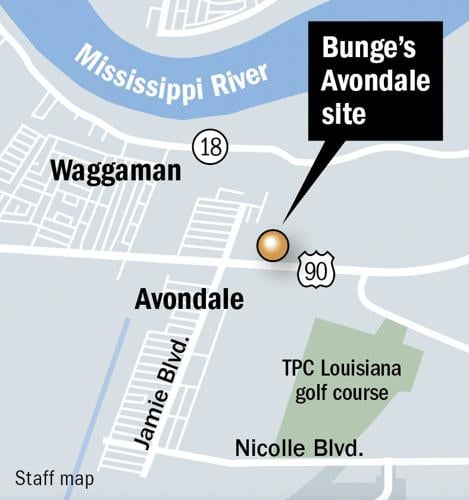 Bunge plans $1bn New Orleans spend, tripling food oil output | Business ...