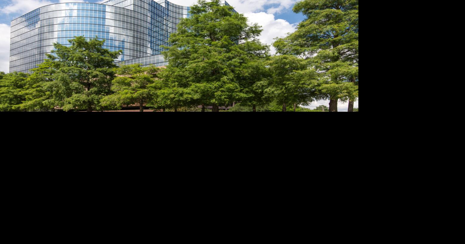 LAMMICO celebrates 40 years thanks to teamwork and transparency ...